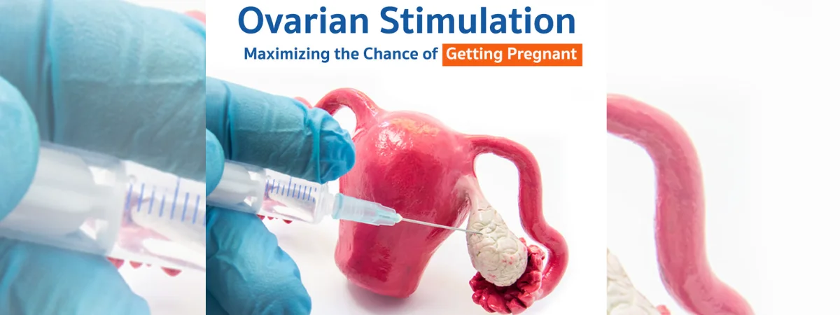 Blog | Understanding Ovarian Stimulation: A Comprehensive Guide