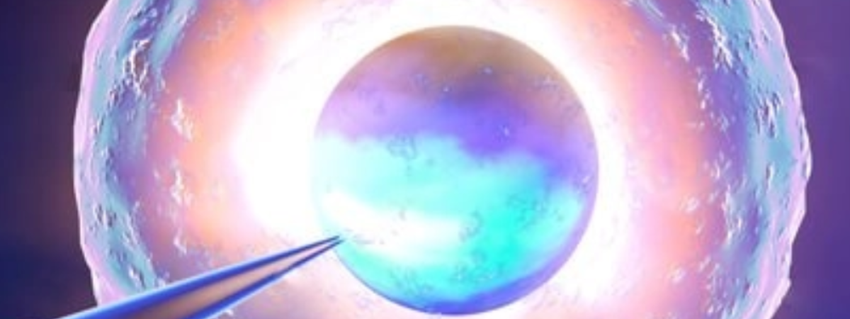 Fertility Blog | ICON IVF Nandyal - Real Success Stories